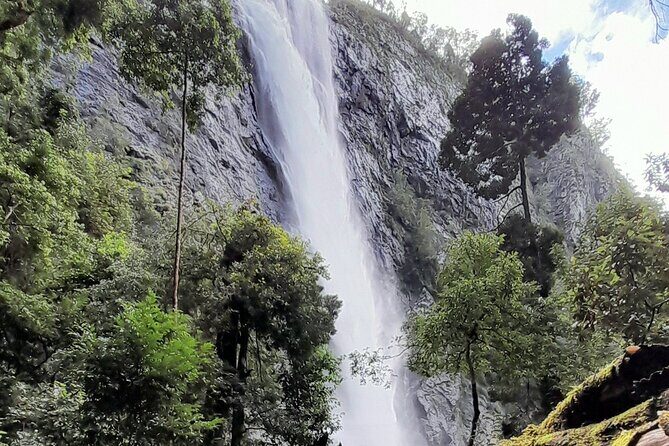 Port Macquarie day tour to Ellenborough Falls & Comboyne Rock - The Itinerary in Detail