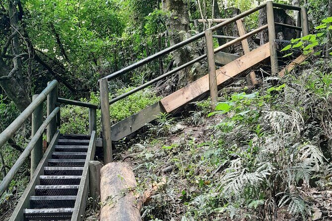 Port Macquarie day tour to Ellenborough Falls & Comboyne Rock - Analyzing the Value