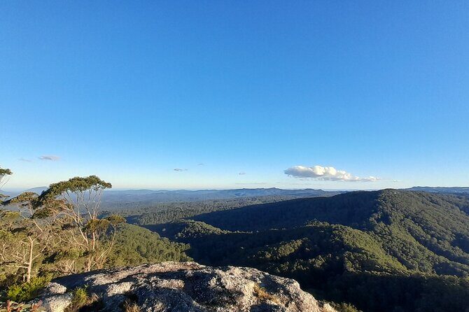 Port Macquarie day tour to Ellenborough Falls & Comboyne Rock - Who Will Love This Tour?