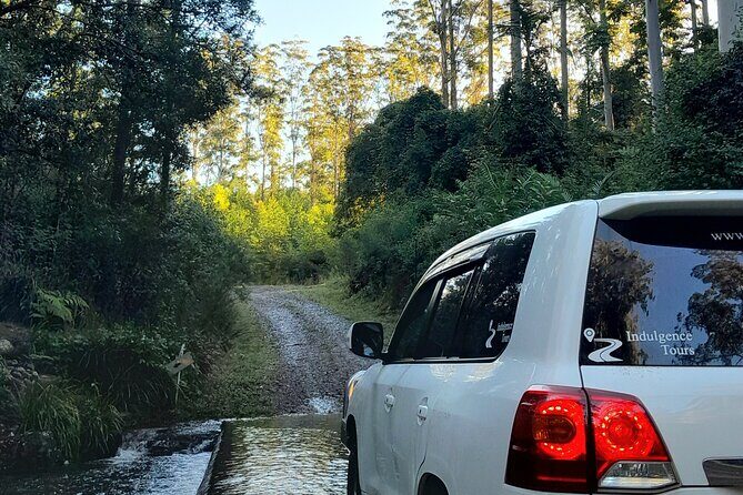 Port Macquarie day tour to Ellenborough Falls & Comboyne Rock - The Sum Up
