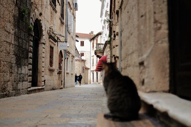 Port of Kotor - Kotor-Perast-Our lady of the rocks private tour - FAQ