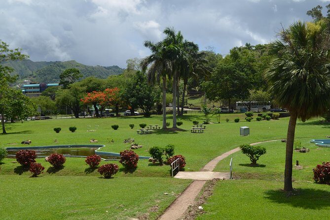 Port of Spain and Fort George Sightseeing Tour - Who Should Take This Tour?