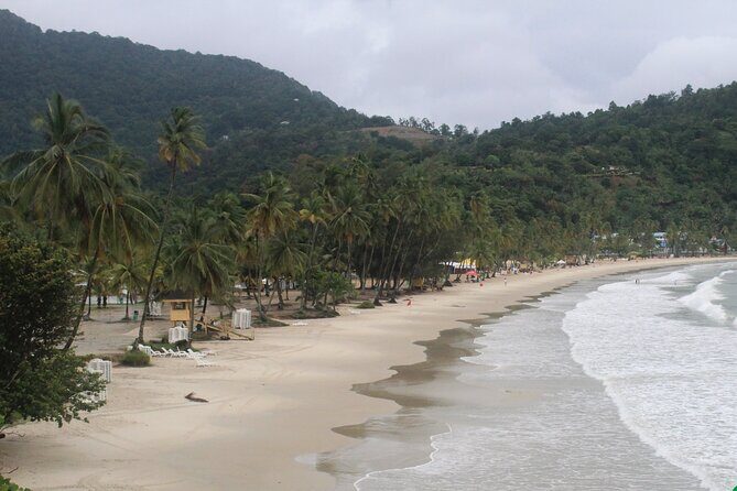 Port of Spain City Highlights and Maracas Beach - Value and Practicalities