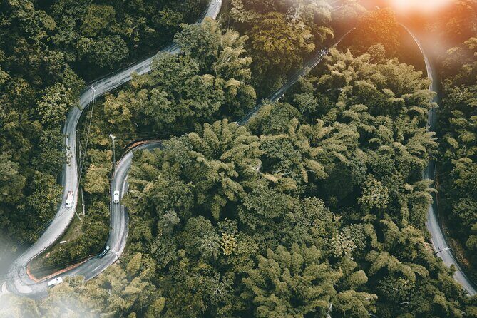 Port of Spain Private Walking Tour with a Local - Who Should Consider This Tour?