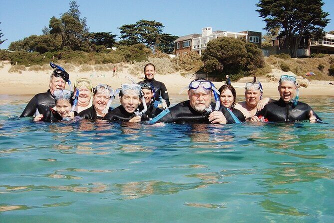 Port Phillip Bay Snorkeling with Sea Dragons - The Sum Up