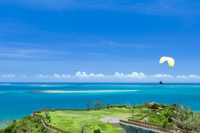 Port Pick-Up: Naha Private Tour Licensed Guide Vehicle - Key Points