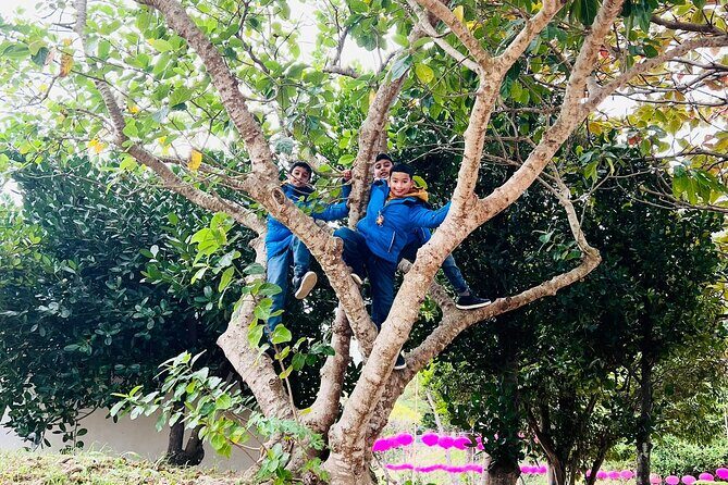 Port Pick-Up: Naha Private Tour Licensed Guide Vehicle - Final Thoughts