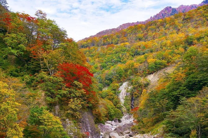 Port Pick-Up: Niigata Private Tour Licensed Guide Vehicle - Who Will Love This Tour?