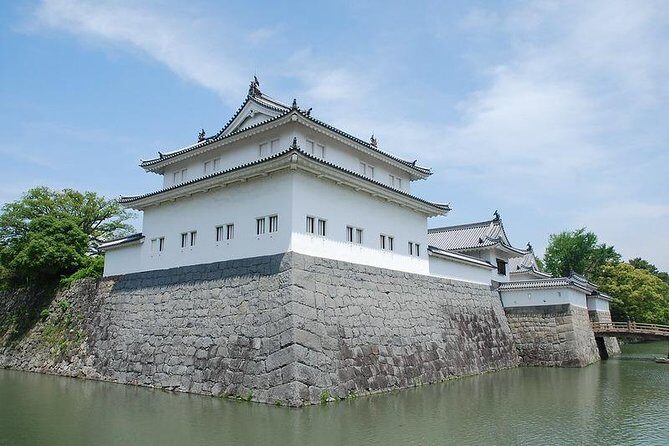 Port Pick-Up: Shizuoka Tour with Licensed Guide and Vehicle - An In-Depth Look at the Shizuoka Tour Experience