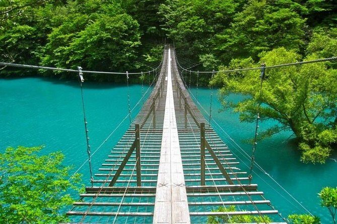 Port Pick-Up: Shizuoka Tour with Licensed Guide and Vehicle - Scenic Views from Nihondaira