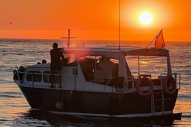 Port : private cruiser 6 Bridges and port wine tasting/Sunset - Wine Tasting on Board