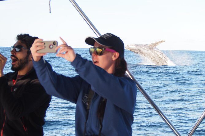 Port Stephens 3 Hour Whale and Dolphin Watch Cruise - Why You’ll Love This Experience