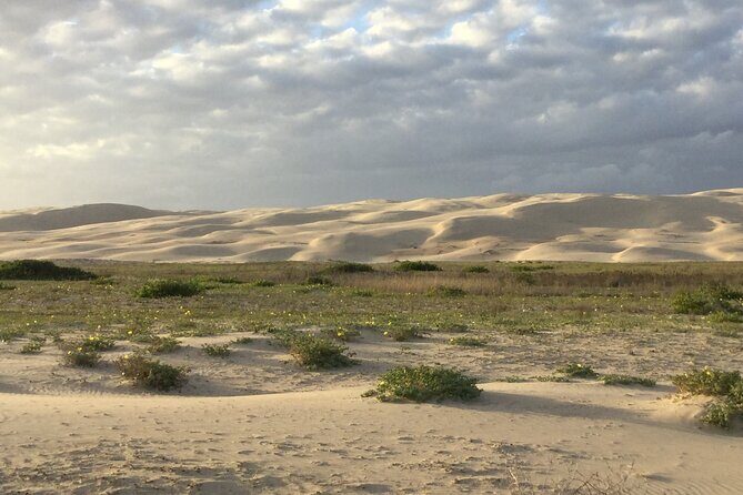 Port Stephens, Beach and Sand Dune 4WD Passenger Tour - The Practicalities: Transport, Timing, and Group Size