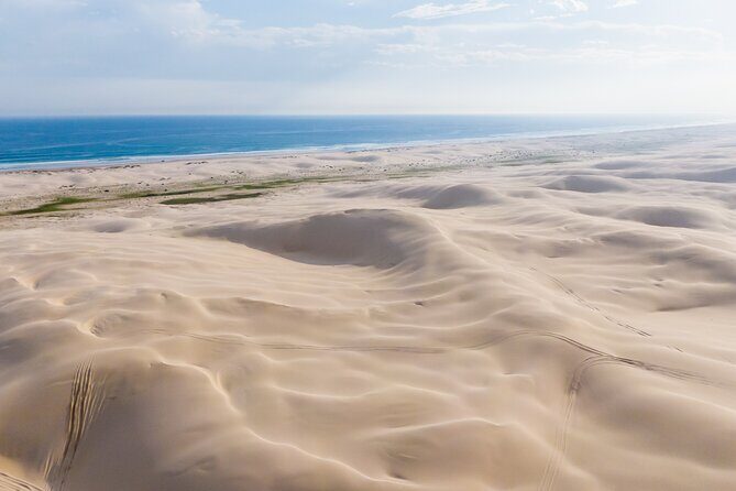 Port Stephens, Beach and Sand Dune 4WD Passenger Tour - The Bottom Line: Is It Worth It?