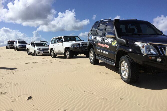 Port Stephens, Beach and Sand Dune 4WD Tag-Along Tour - An In-Depth Look at the Tour Experience