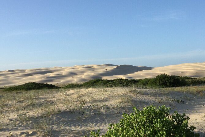 Port Stephens, Beach and Sand Dune 4WD Tag-Along Tour - The Sum Up
