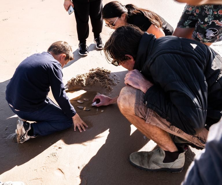 Port Stephens: Birubi Beach 4WD Tour with Sandboarding - Introduction: Why Consider the Birubi Beach 4WD Tour?