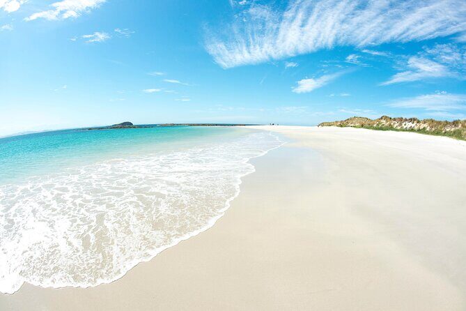 Port Stephens: Broughton Island Cruise - Practical Tips for Travelers