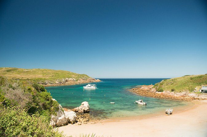 Port Stephens: Broughton Island Cruise - Who Will Love This Tour?