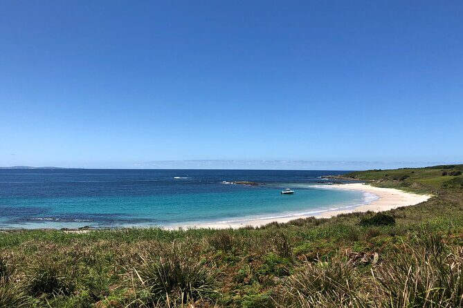 Port Stephens: Broughton Island Cruise - FAQ