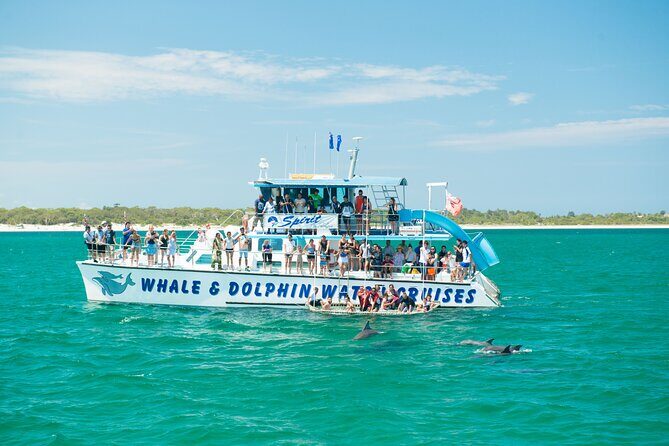 Port Stephens, Departing from Newcastle - Dolphins, hike & swim! - Key Points