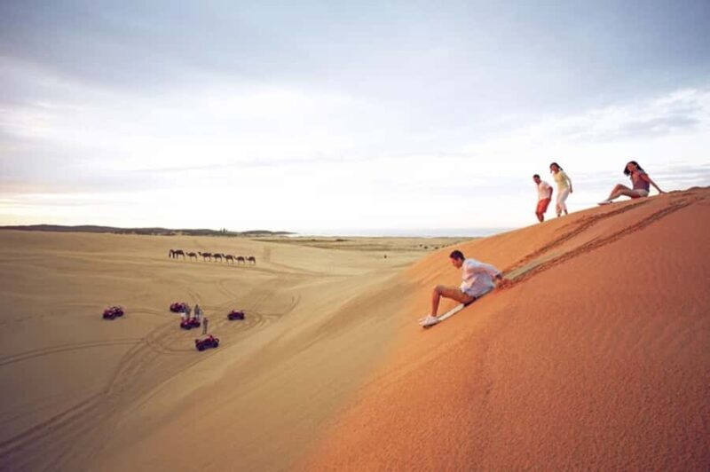 Port Stephens: Dolphin Cruise, Lunch, Koalas & Sandboarding - Authentic Encounters and Unique Experiences