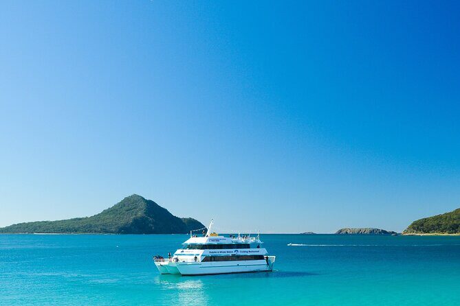 Port Stephens: Dolphin Discovery Cruise - Dolphin Spotting Success and What to Expect