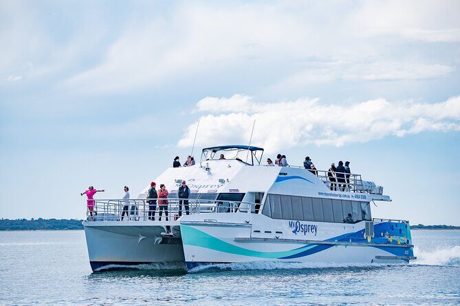 Port Stephens: Dolphin Watch Eco Adventure - Key Points
