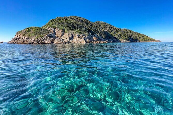 Port Stephens: Dolphin Watch Eco Adventure - A Detailed Look at the Port Stephens Dolphin Watch Eco Adventure