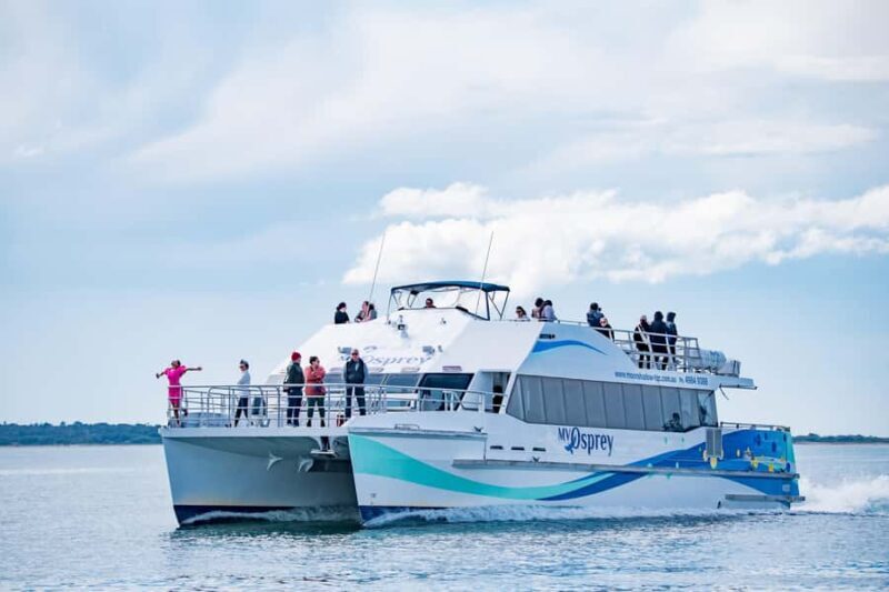 Port Stephens: Dolphin Watch & Eco Adventure - Who Will Love This Tour?