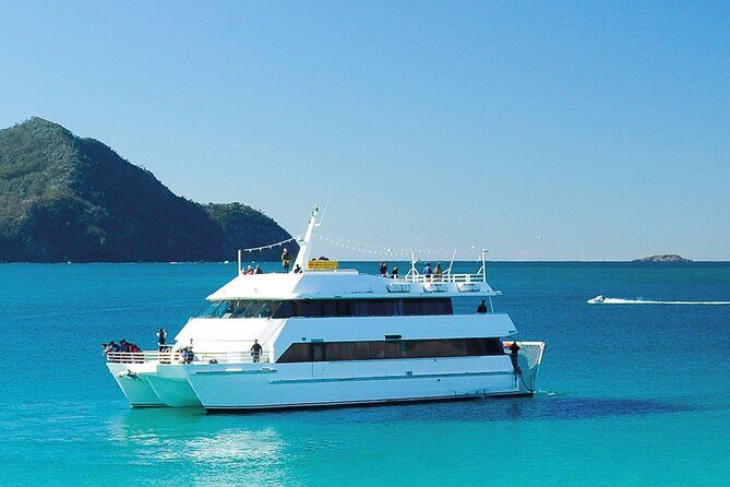 Port Stephens Experience: Incredible Adventure, Wild by Nature - What the Reviews Say: Highlights and Hurdles