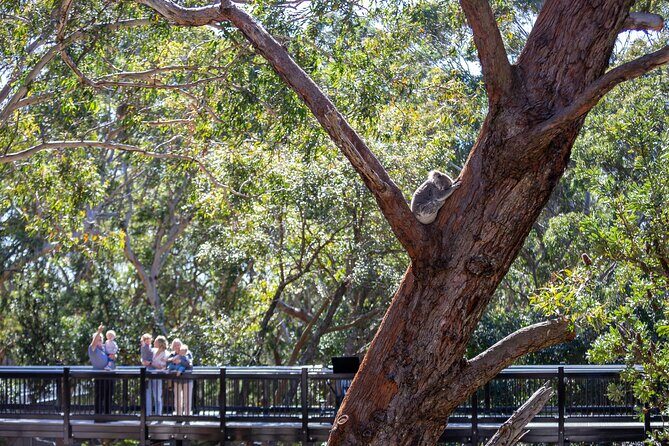 Port Stephens Experience: Incredible Adventure, Wild by Nature - Wrapping It Up