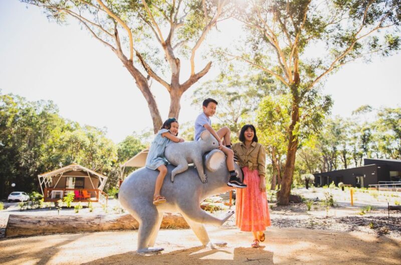 Port Stephens: Koala Sanctuary General Admission Ticket - Practical Details and What to Expect