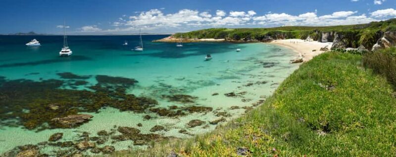 Port Stephens: Port Stephens Island Snorkel Adventure Cruise - Who Will Love This Tour?