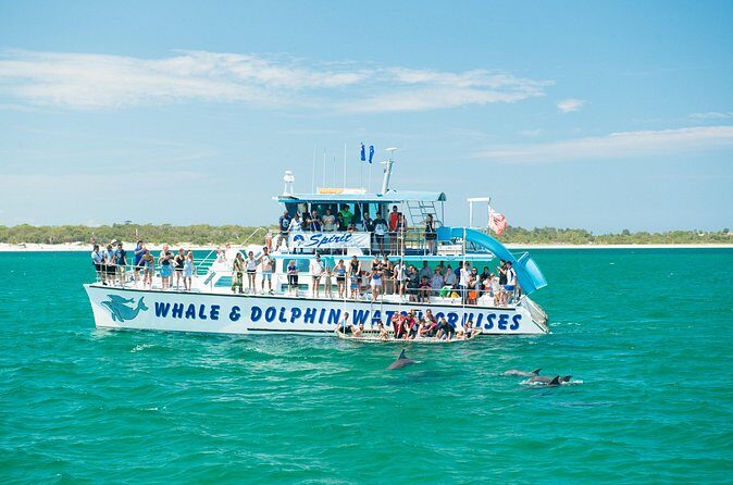Port Stephens: Splash 'n' Slide Dolphin Cruise - Duration and Group Size