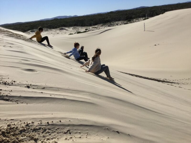Port Stephens: Stockton Sand Dunes 4WD Tag-Along Tour - An Authentic 4WD Beach Adventure in Port Stephens