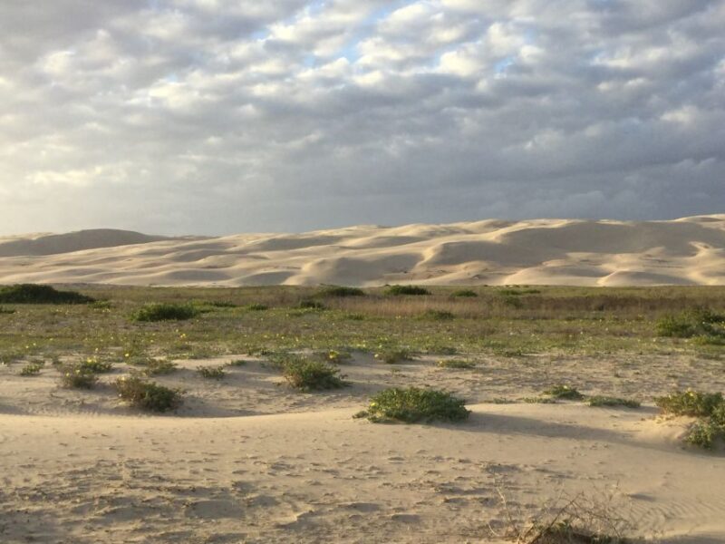 Port Stephens: Stockton Sand Dunes 4WD Tag-Along Tour - The Details of the Experience