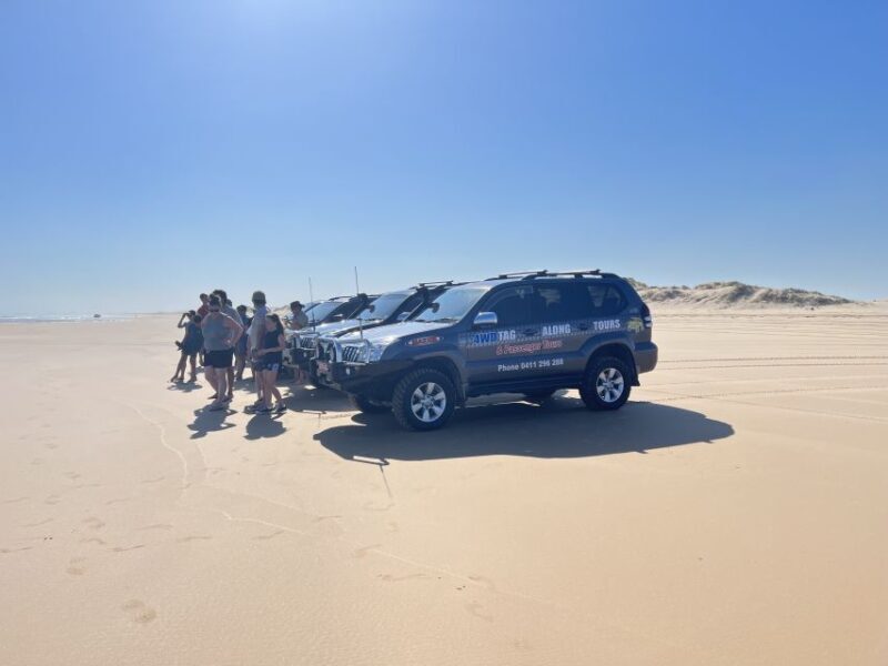 Port Stephens: Stockton Sand Dunes 4WD Tag-Along Tour - Who Will Love This Tour