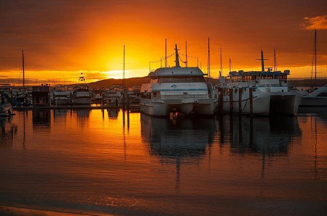 Port Stephens: Sunset on the Bay Cruise - The Sum Up: Who Should Take This Cruise?