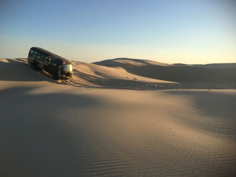 Port Stephens: Unlimited Sandboarding with 4WD Dune Transfer - An In-Depth Look at the Sandboarding Adventure in Port Stephens