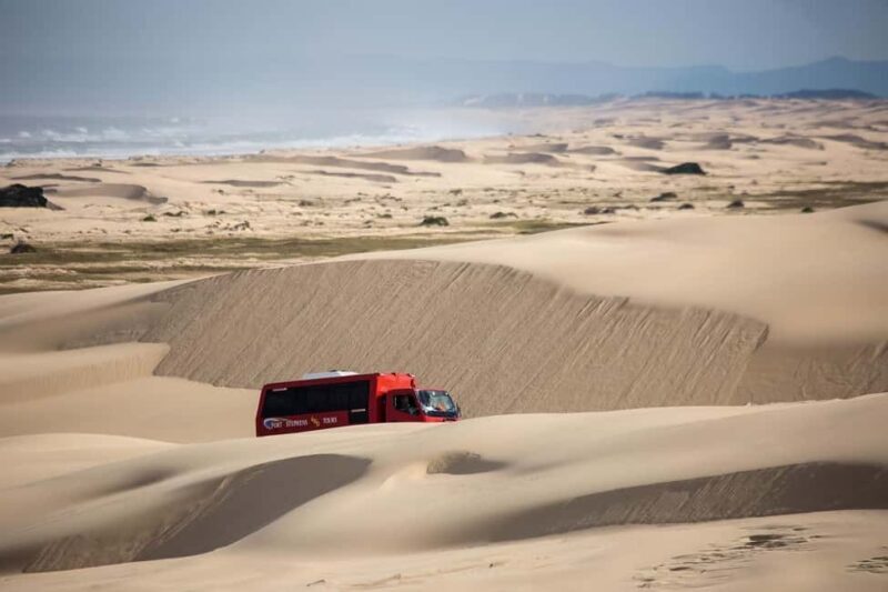 Port Stephens: Worimi National Park Sandboarding Adventure - Introduction: A Sandboarding Adventure Worth Trying