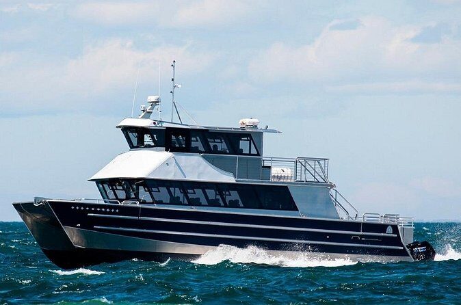 Port Townsend Wildlife Watching Cruise - FAQ