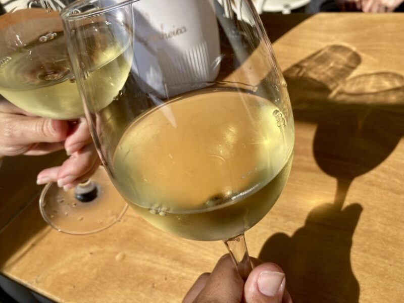Port wine & wine walking tour with culture - max 8 pax - The Sum Up of the Tour