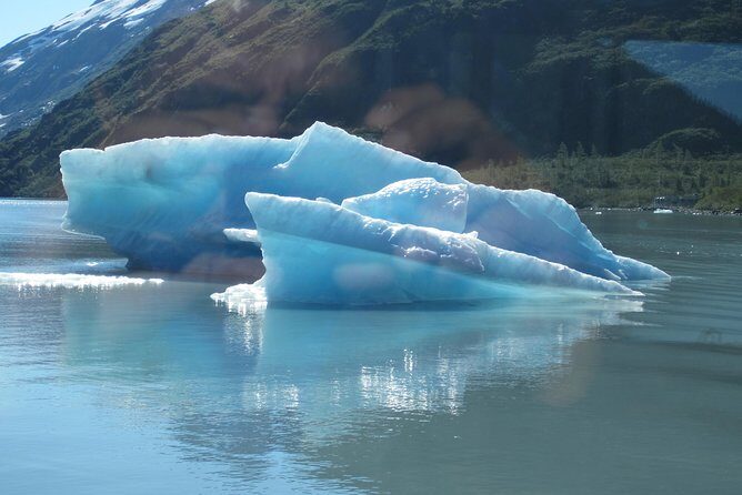 Portage Glacier Cruise and Wildlife Explorer Tour - Authentic Experiences and What Travelers Say