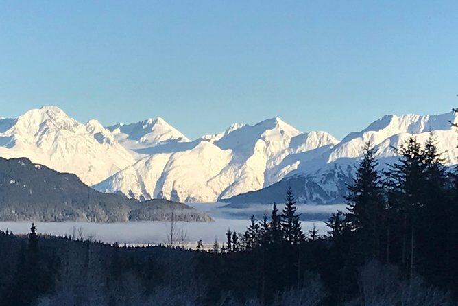 Portage Glacier Cruise and Wildlife Explorer Tour - The Sum Up: Is This Tour Right for You?