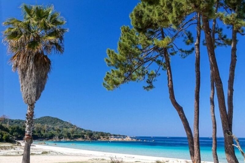 Porticcio: Coastal Train Ticket with Audio Guide & Tastings - The Sum Up