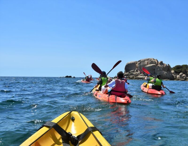 Porticcio: Guiding Kayaking Tour - Key Points