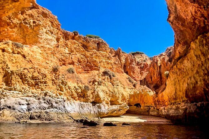 Portimão: Benagil Full Caves + Meal @ Allgarbe, a Local Gem - Key Points