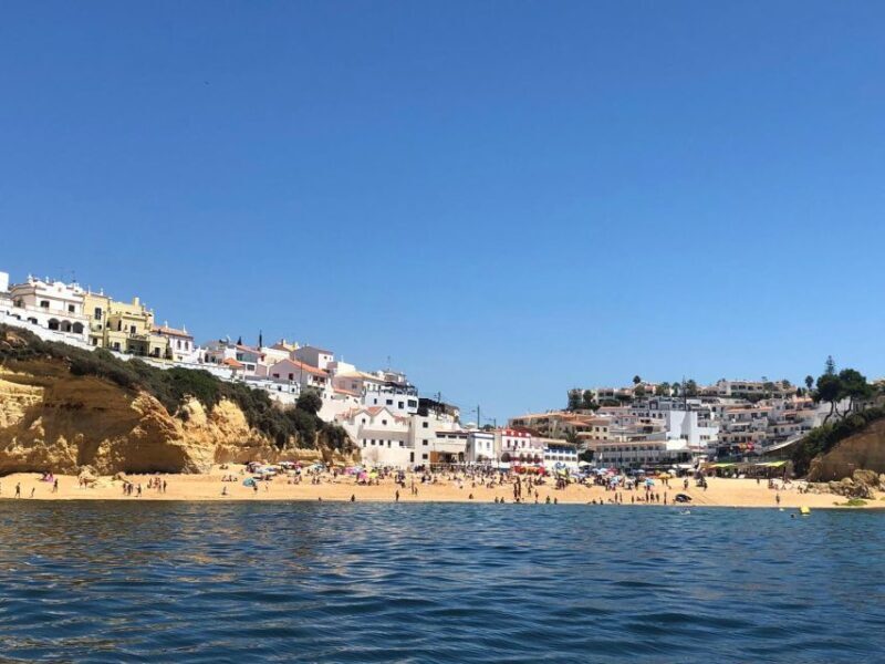 Portimão: Dophin Watching on the Algarve Coast - Key Points