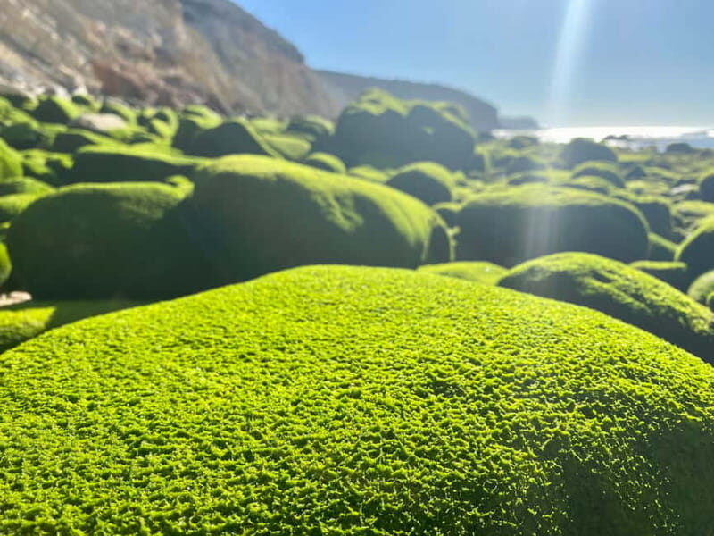 Portimão: Mindful Hike Experience by el Sol-Lifestlye - Why Choose This Tour?